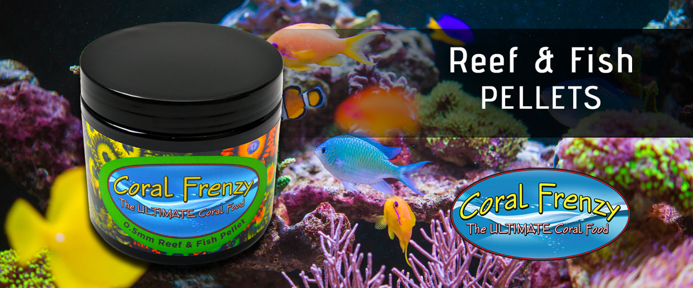 Coral Frenzy | Coral Frenzy, the ULTIMATE coral food.